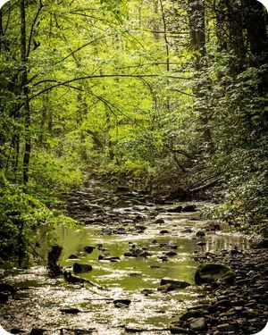 Coast In To Harbor Country - Harbor Country Chamber of Commerce - MI